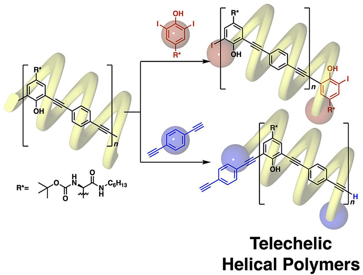 高分子設計創生学研究室 | 関西大学化学生命工学部